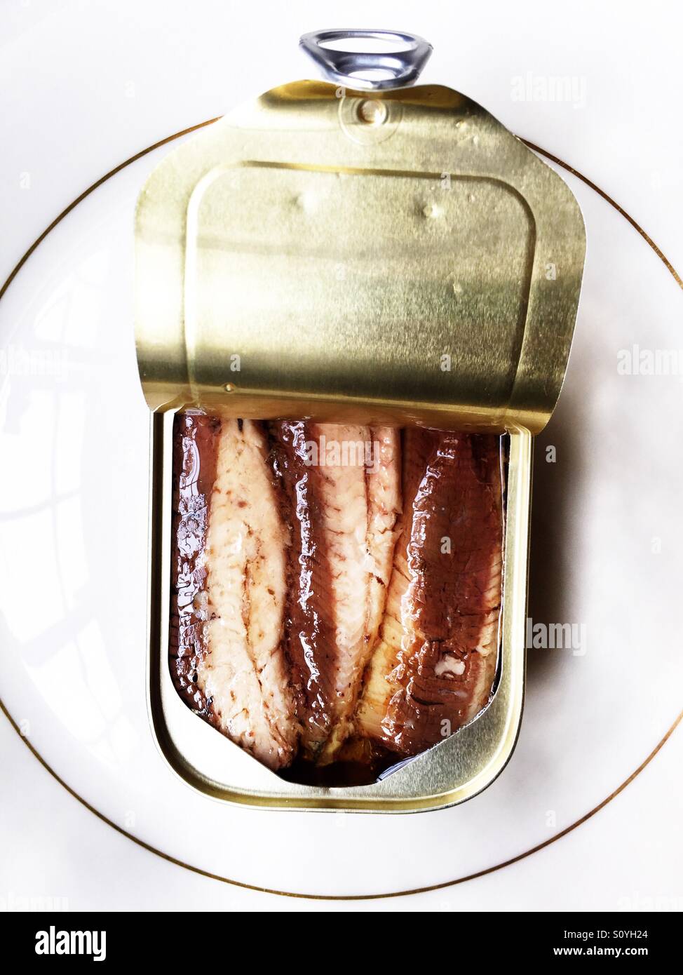 Tin Of Sardines Stock Photos & Tin Of Sardines Stock Images - Alamy