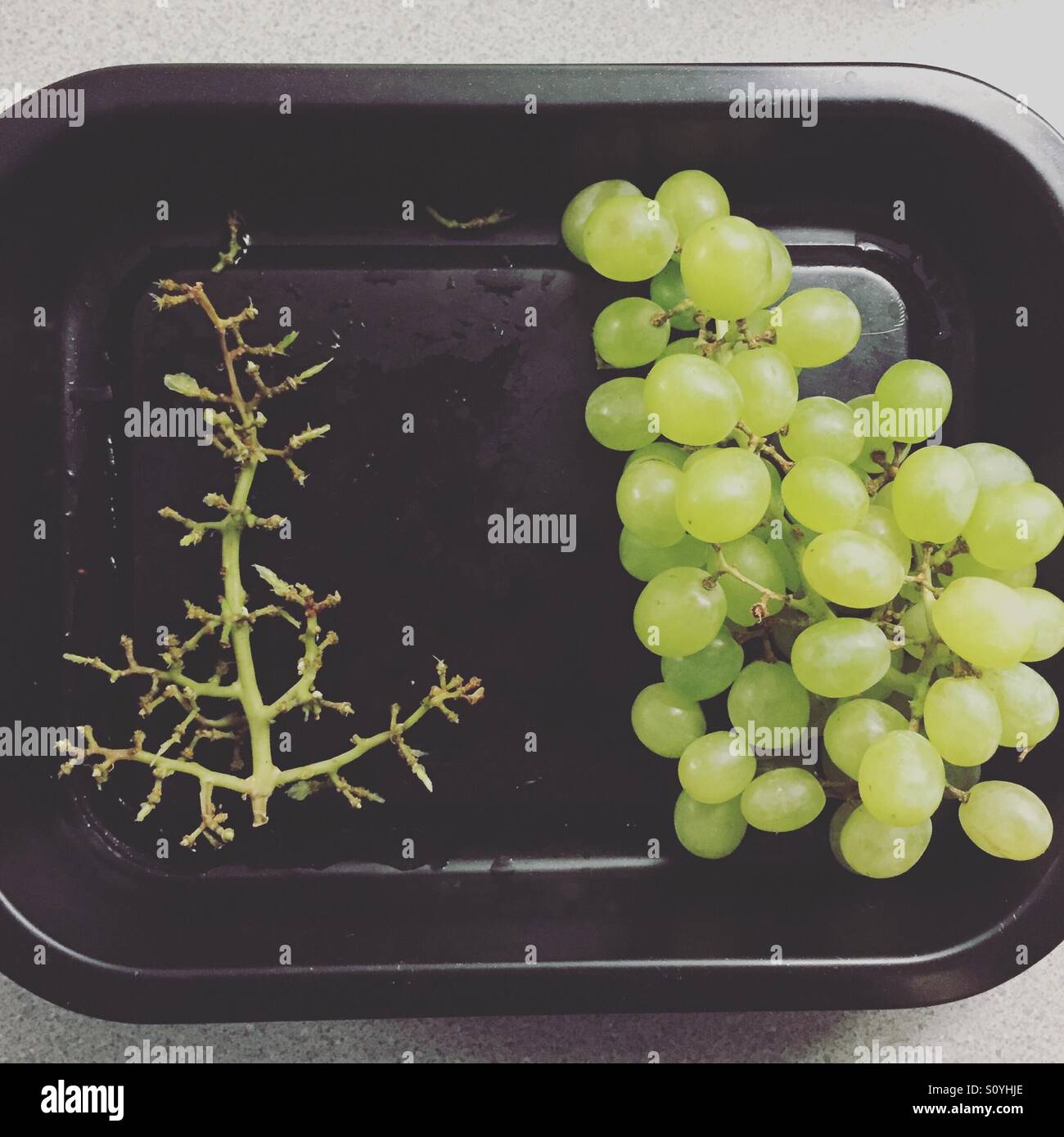 Grap High Resolution Stock Photography and Images - Alamy