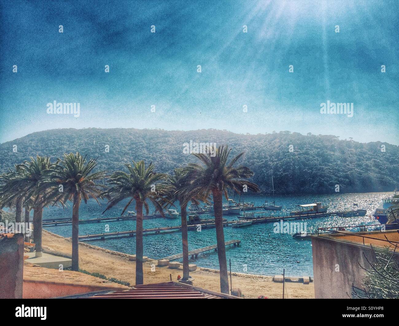 Sea,palms and sun, Port Cros France Stock Photo - Alamy