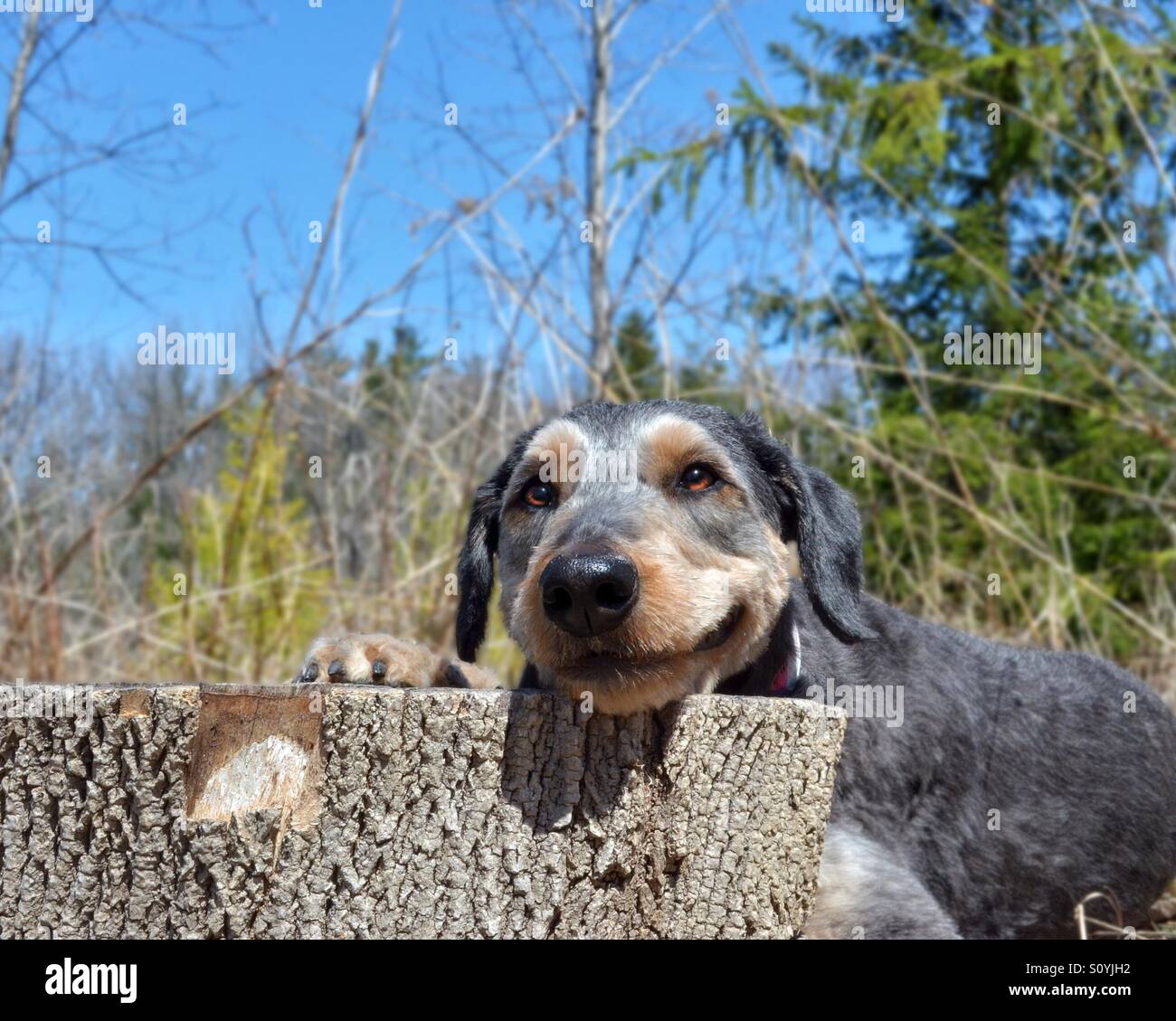 The smile is contagious hi-res stock photography and images - Alamy