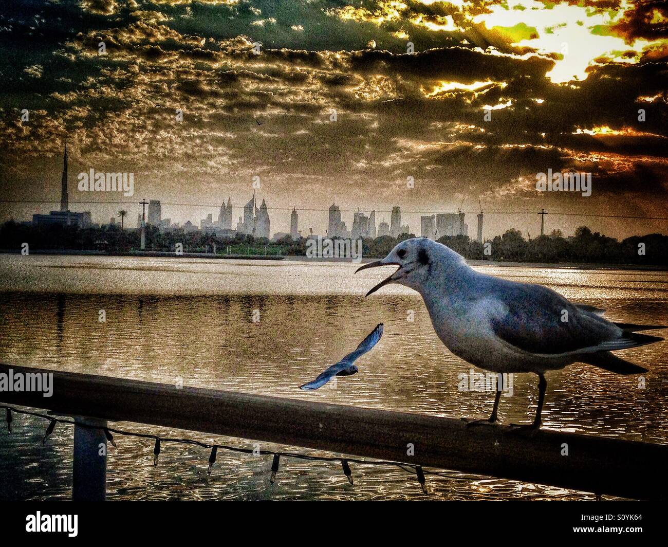 Open skyline hi-res stock photography and images - Alamy