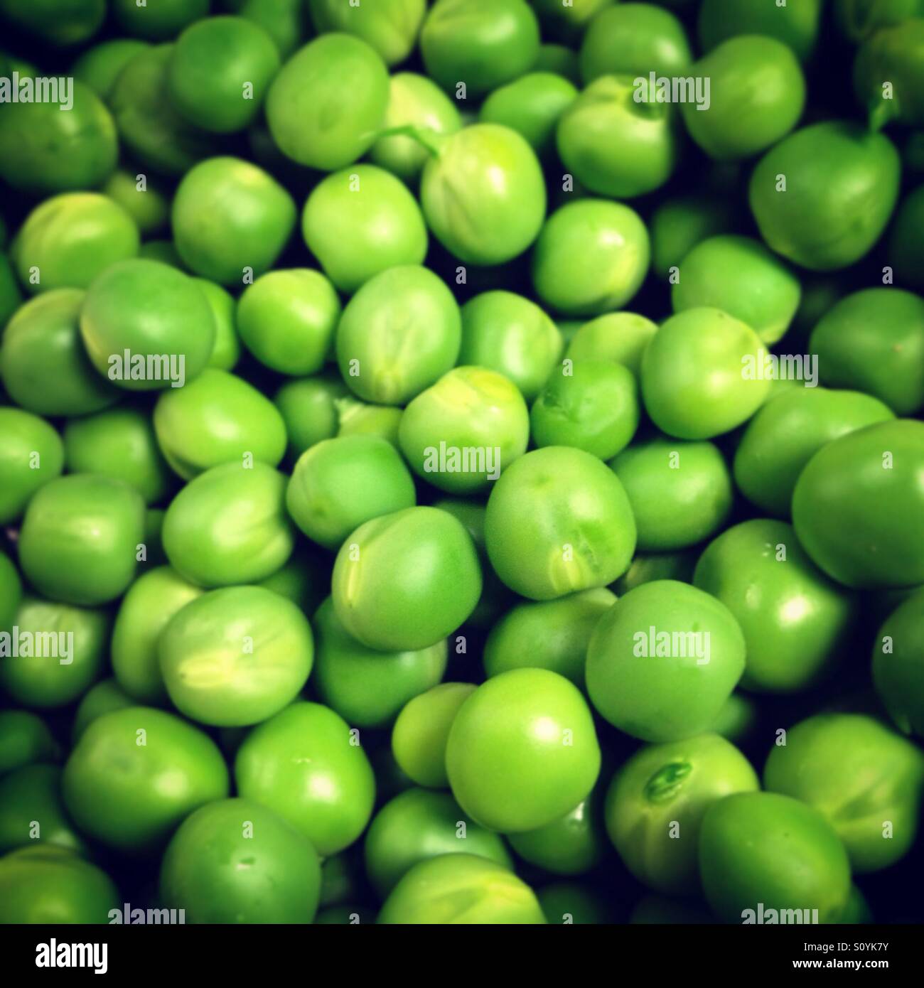 Shucking High Resolution Stock Photography and Images - Alamy