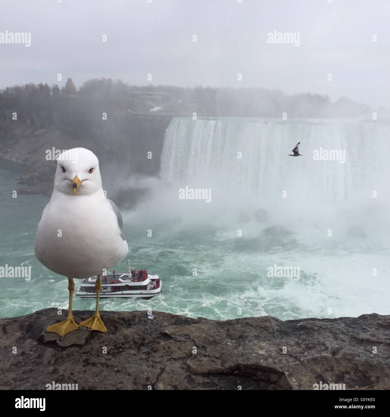 Perfectly timed photo hi-res stock photography and images - Alamy