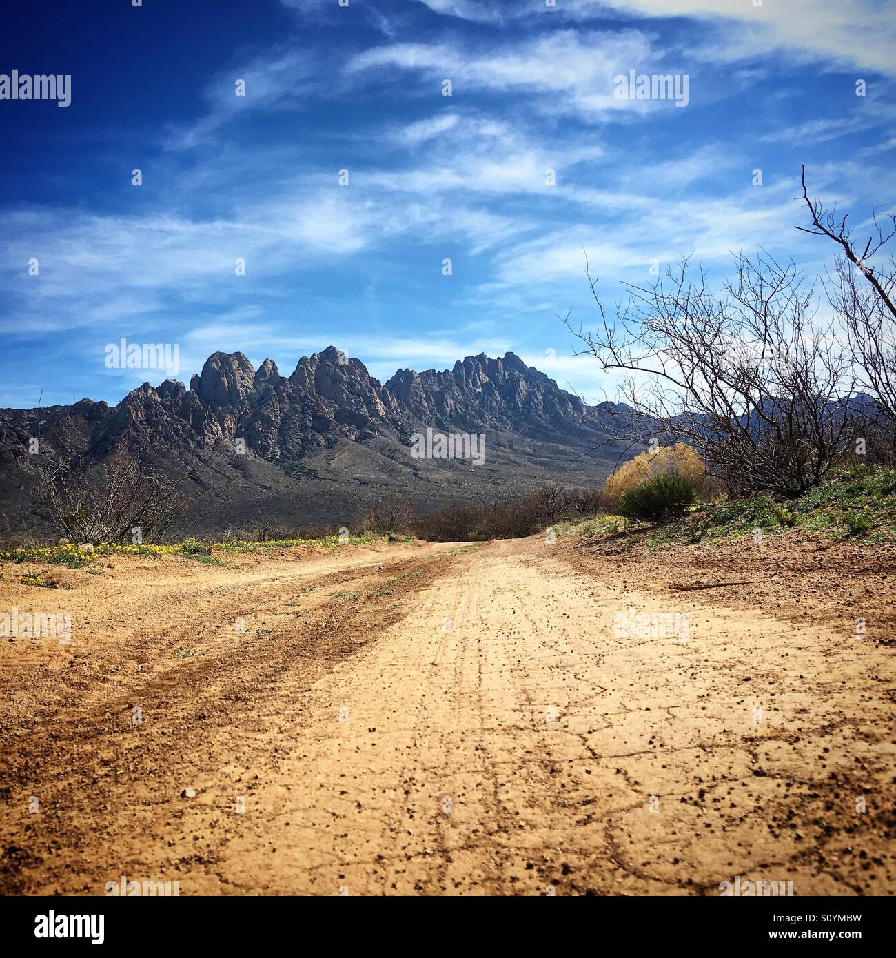 Las cruces organ mountains hi-res stock photography and images - Alamy