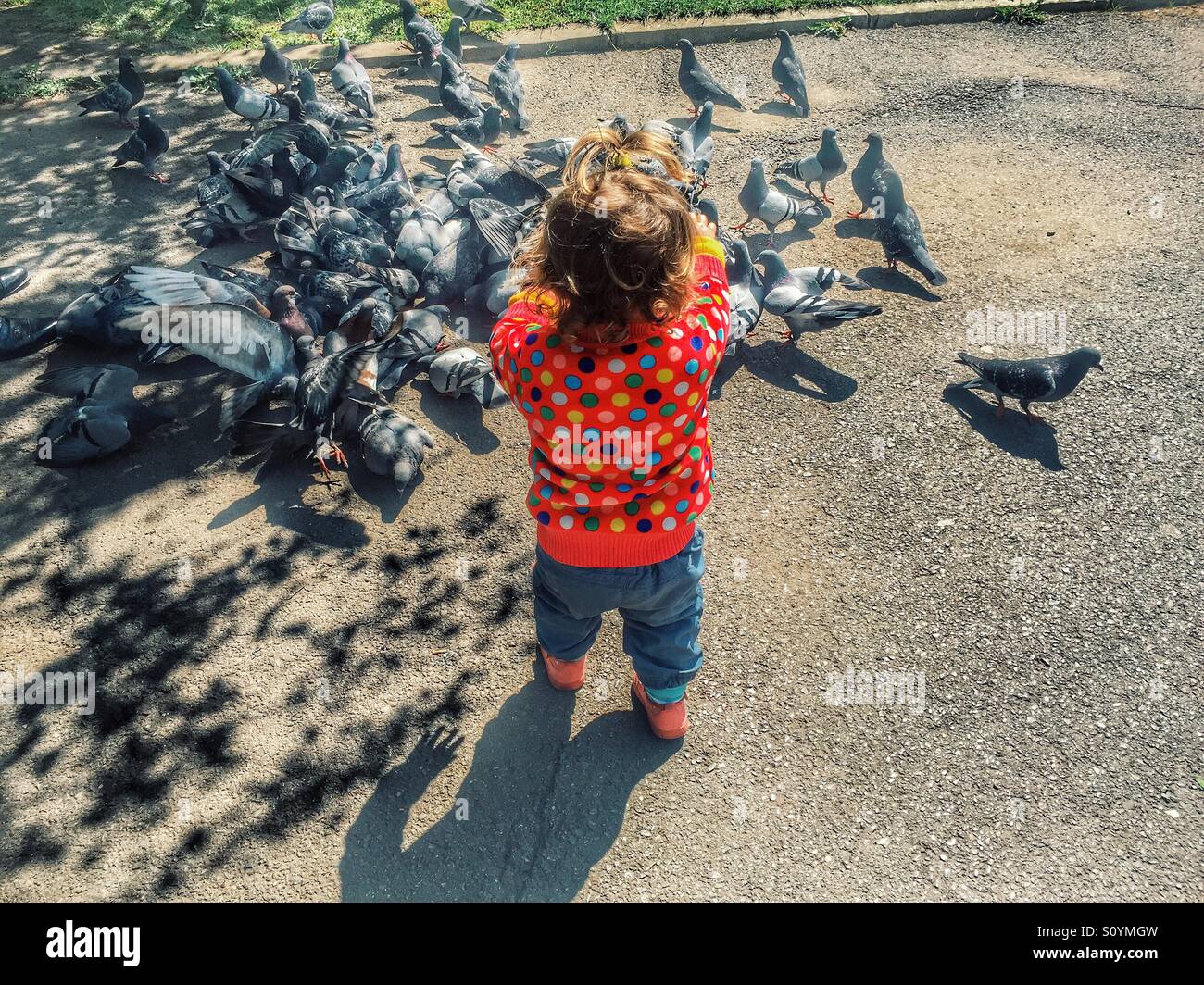 Baby doves hi-res stock photography and images - Alamy