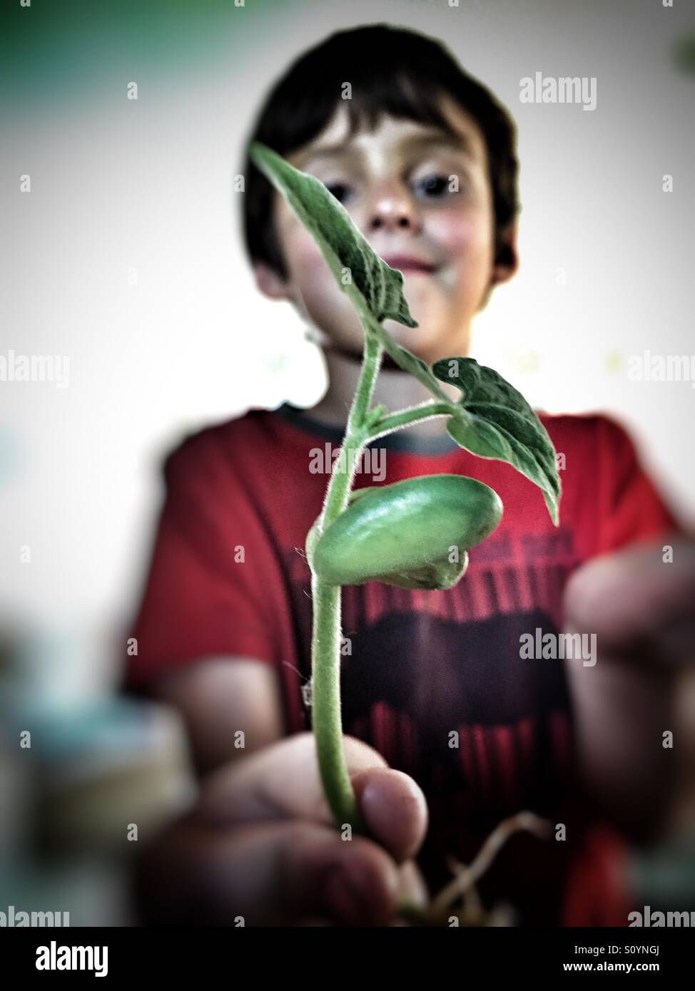 Bean Boy High Resolution Stock Photography and Images - Alamy