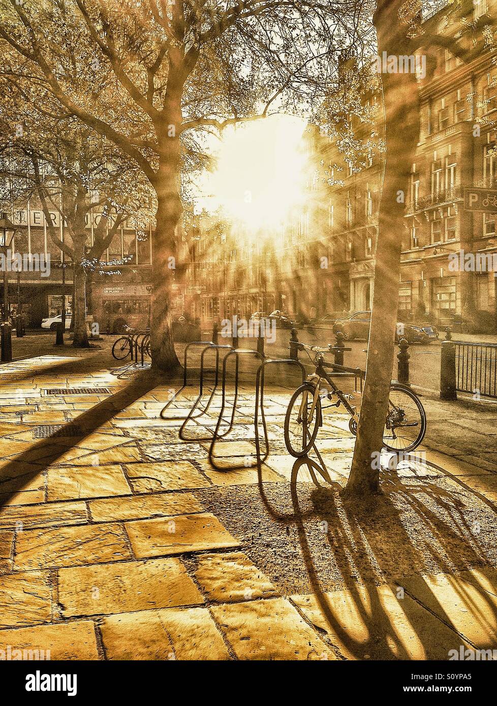 Sloane square sunset Stock Photo - Alamy