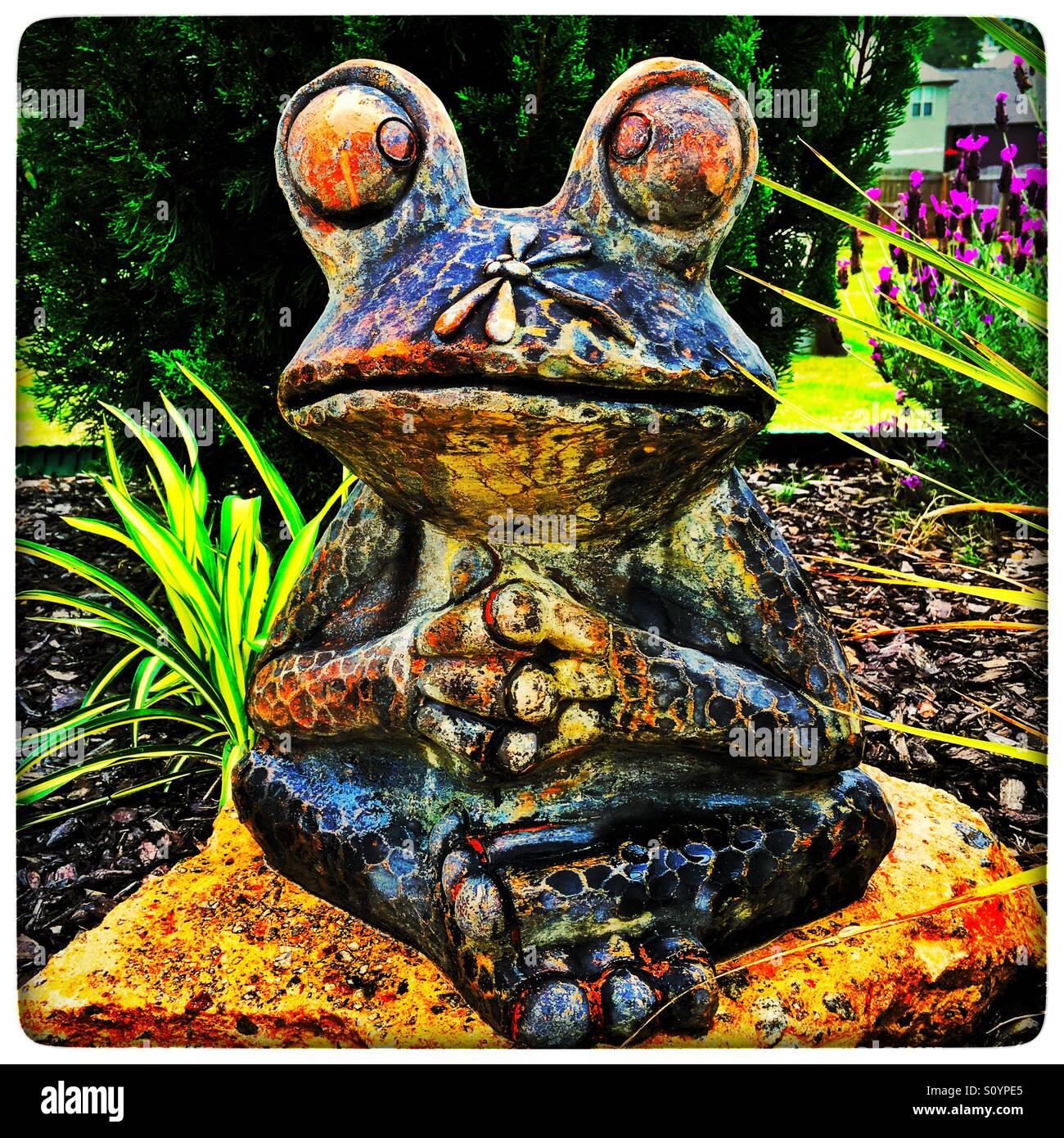 I am close hi-res stock photography and images - Alamy