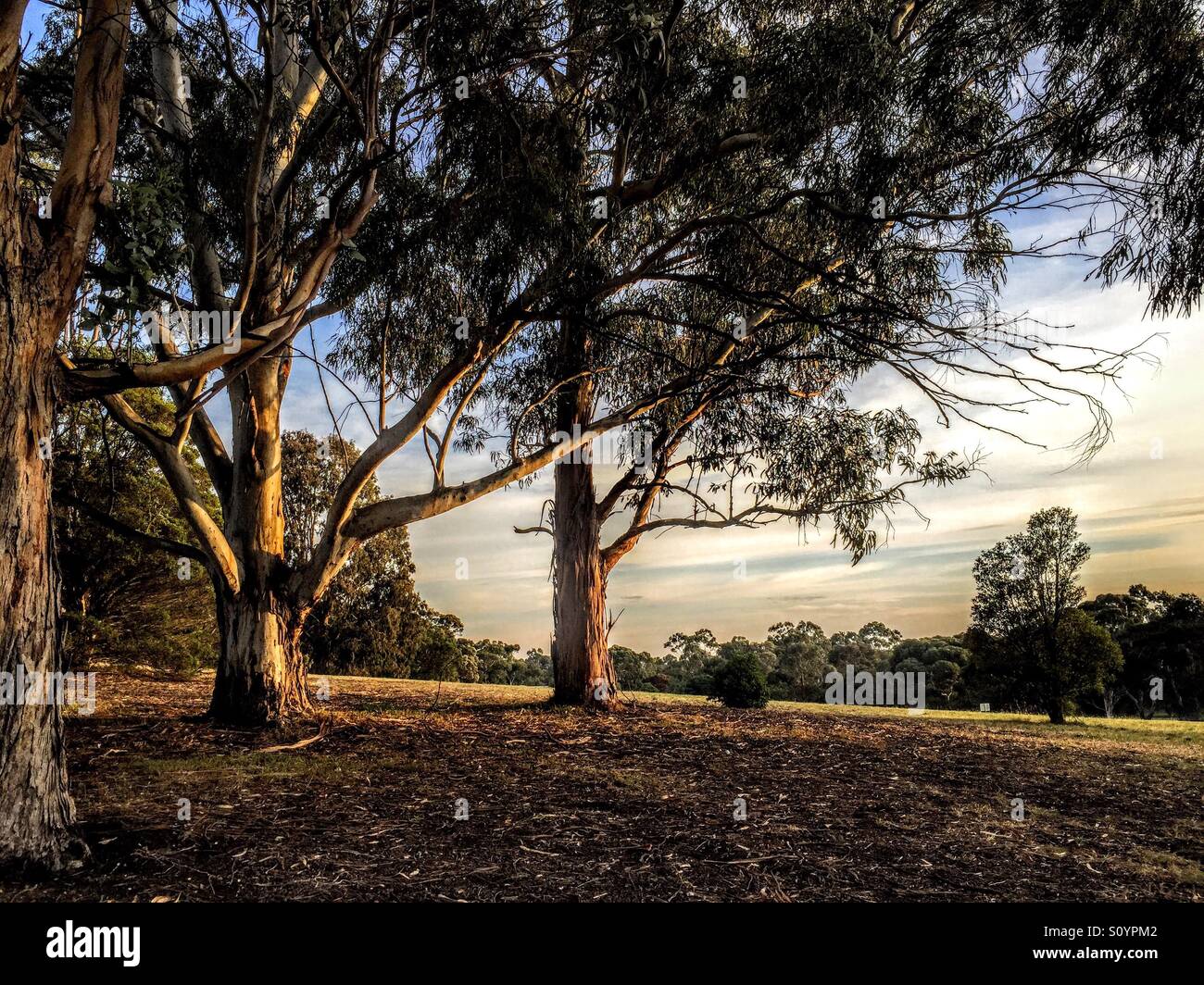 Outlook on outlook hi-res stock photography and images - Alamy