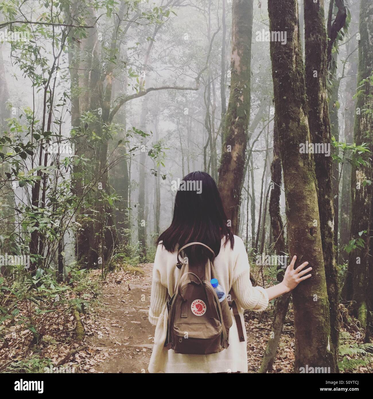 Wood girl hi-res stock photography and images - Alamy