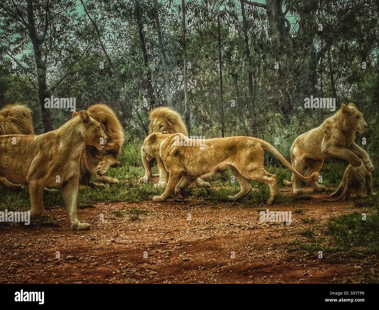 Turmoil hi-res stock photography and images - Alamy