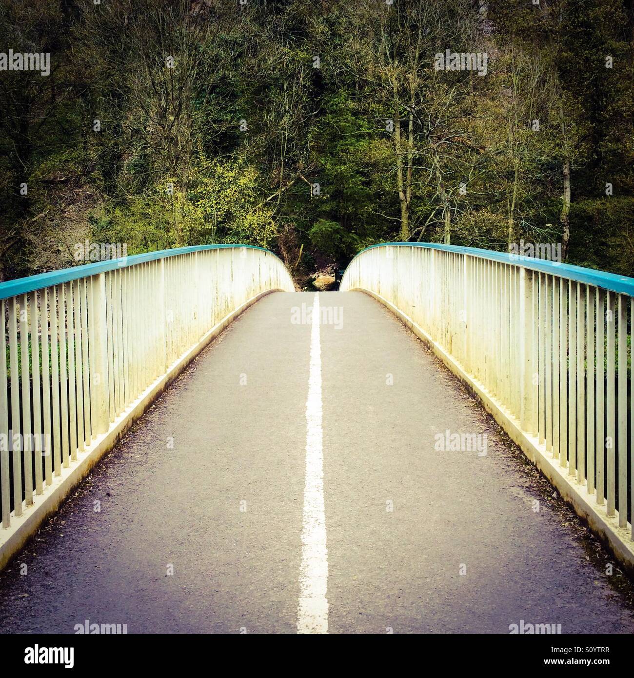 Footbridge over a river with metal railings Stock Photo - Alamy