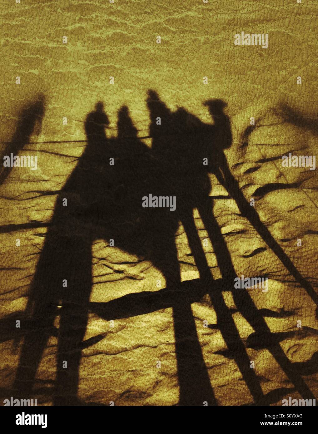 Camel shadow desert hi-res stock photography and images - Alamy