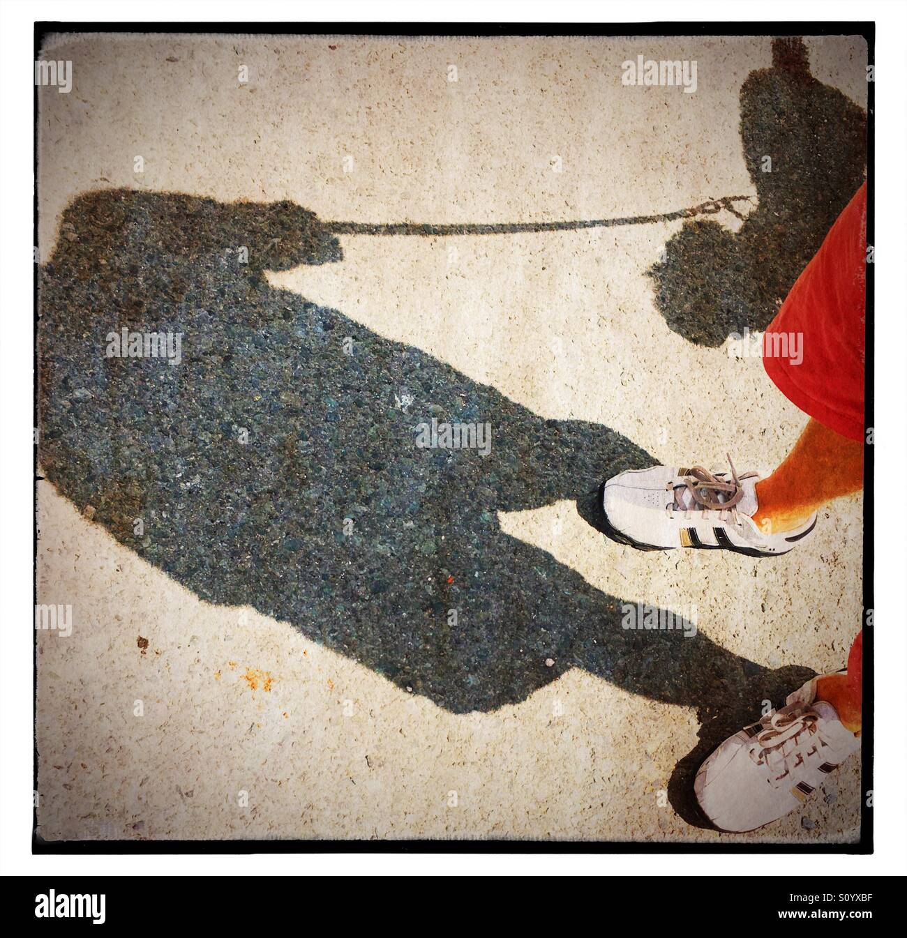 Dog shadow hi-res stock photography and images - Alamy