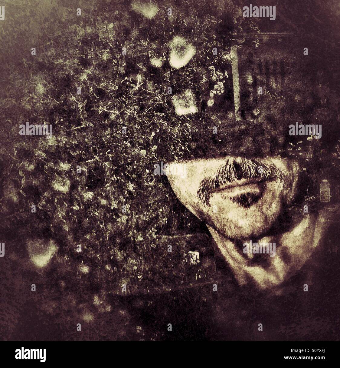 Odd reflection hi-res stock photography and images - Alamy