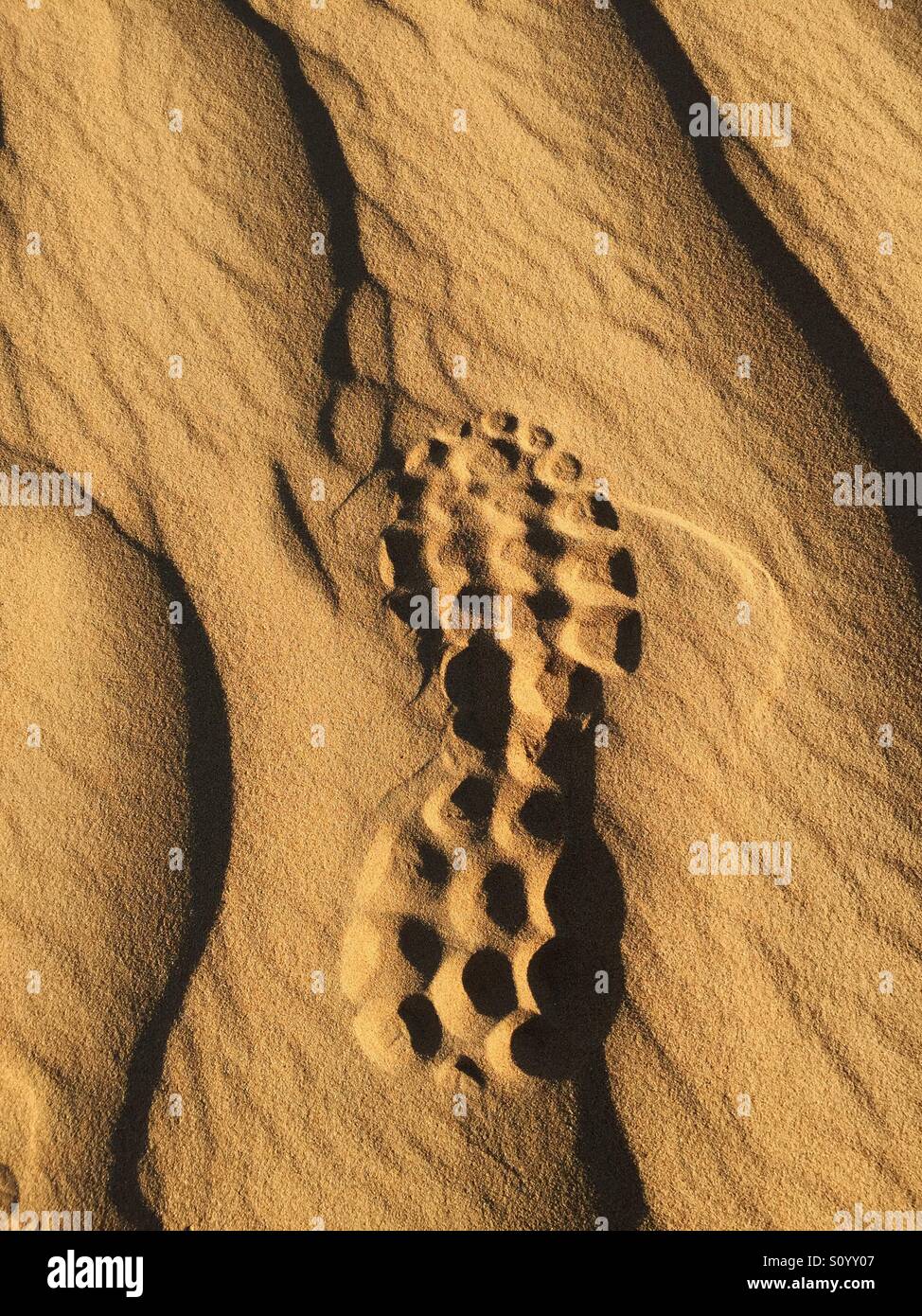 A step forward in the Sand Stock Photo - Alamy