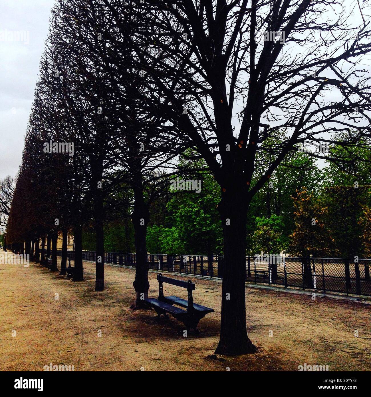 Manicured trees hi-res stock photography and images - Alamy