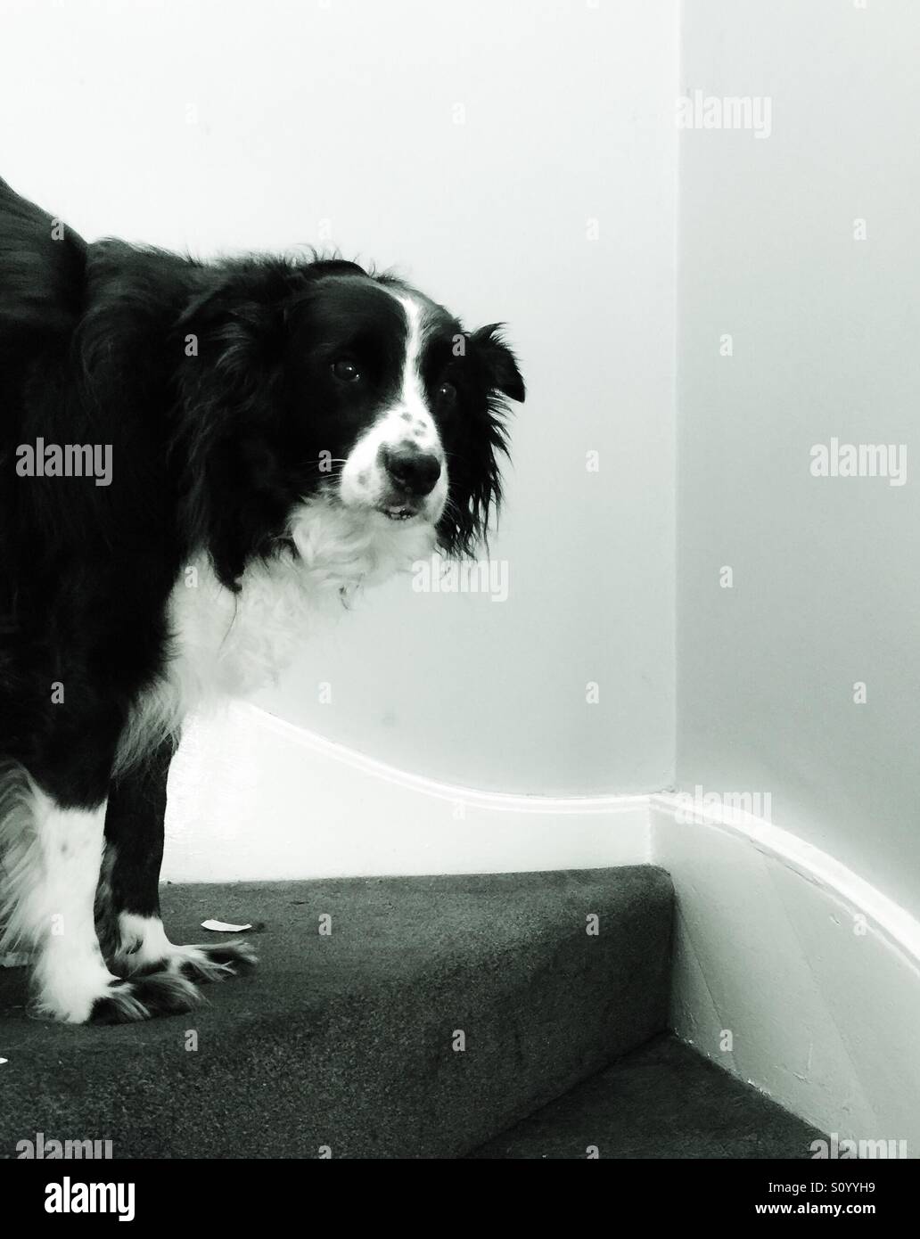 Look down stairs hi-res stock photography and images - Alamy