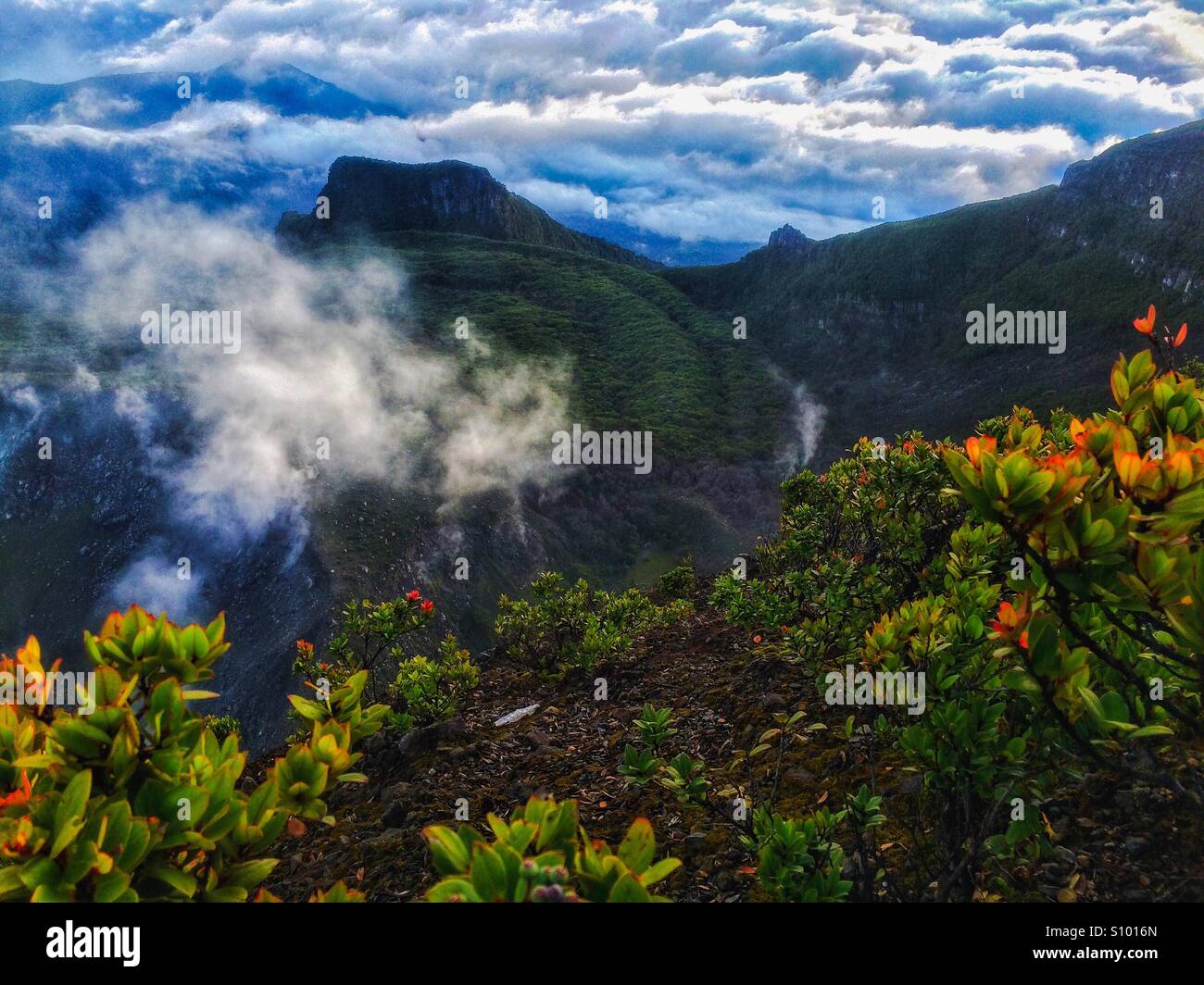 Gede Pangrango High Resolution Stock Photography and Images - Alamy