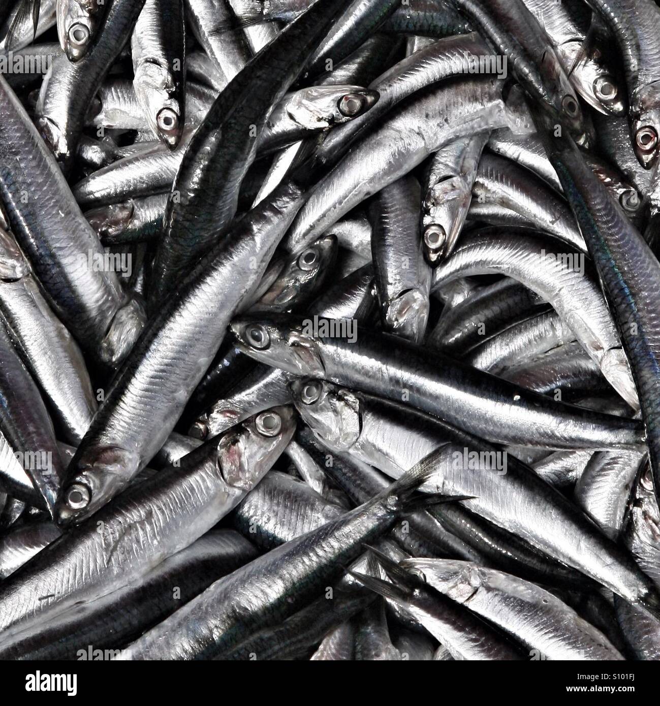 Fiah market hi-res stock photography and images - Alamy