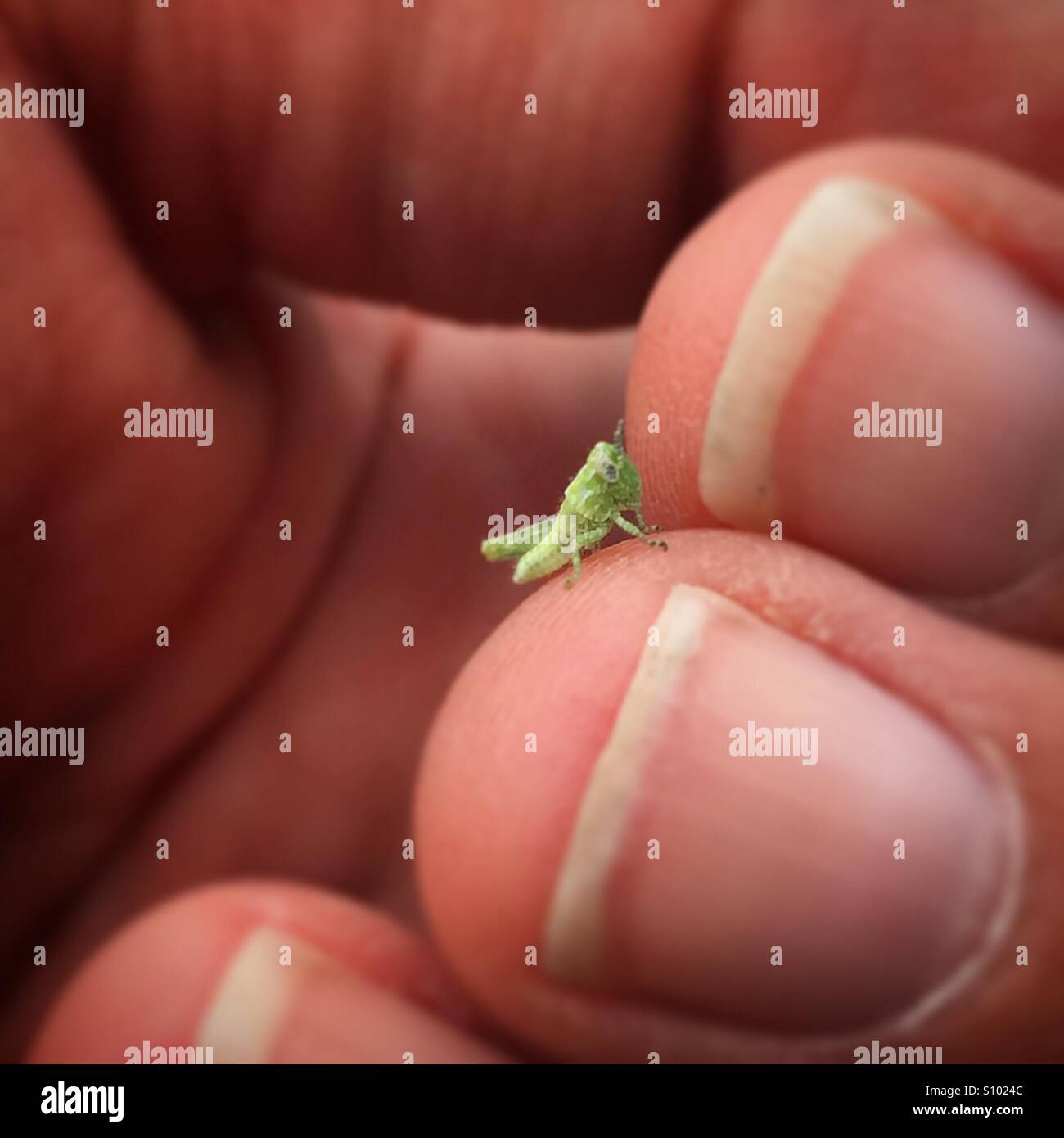 A womans finger hi-res stock photography and images - Alamy