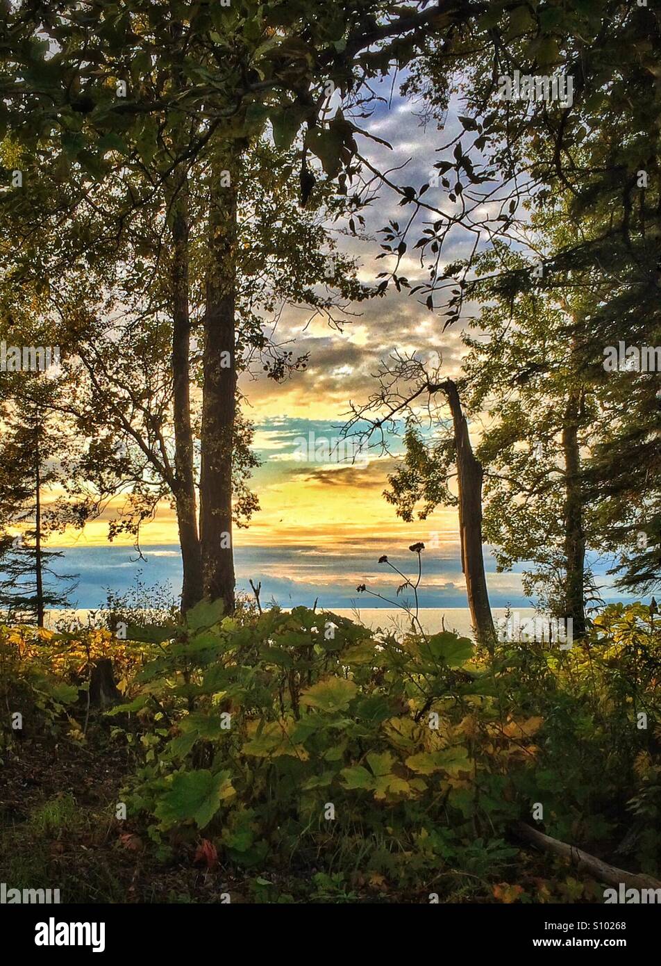 Ocean Inlet Stock Photos & Ocean Inlet Stock Images - Alamy