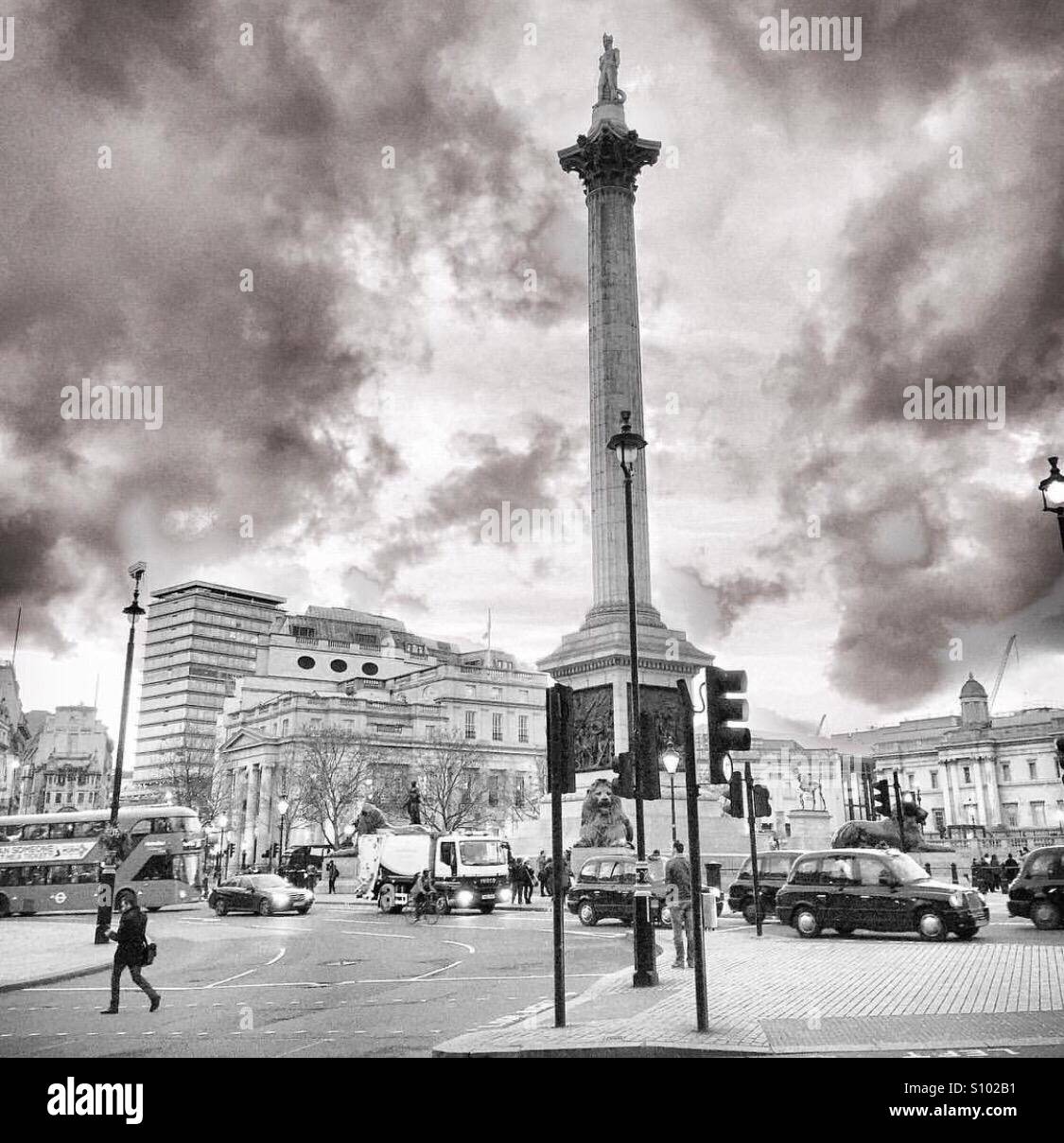 White lion square hi-res stock photography and images - Alamy