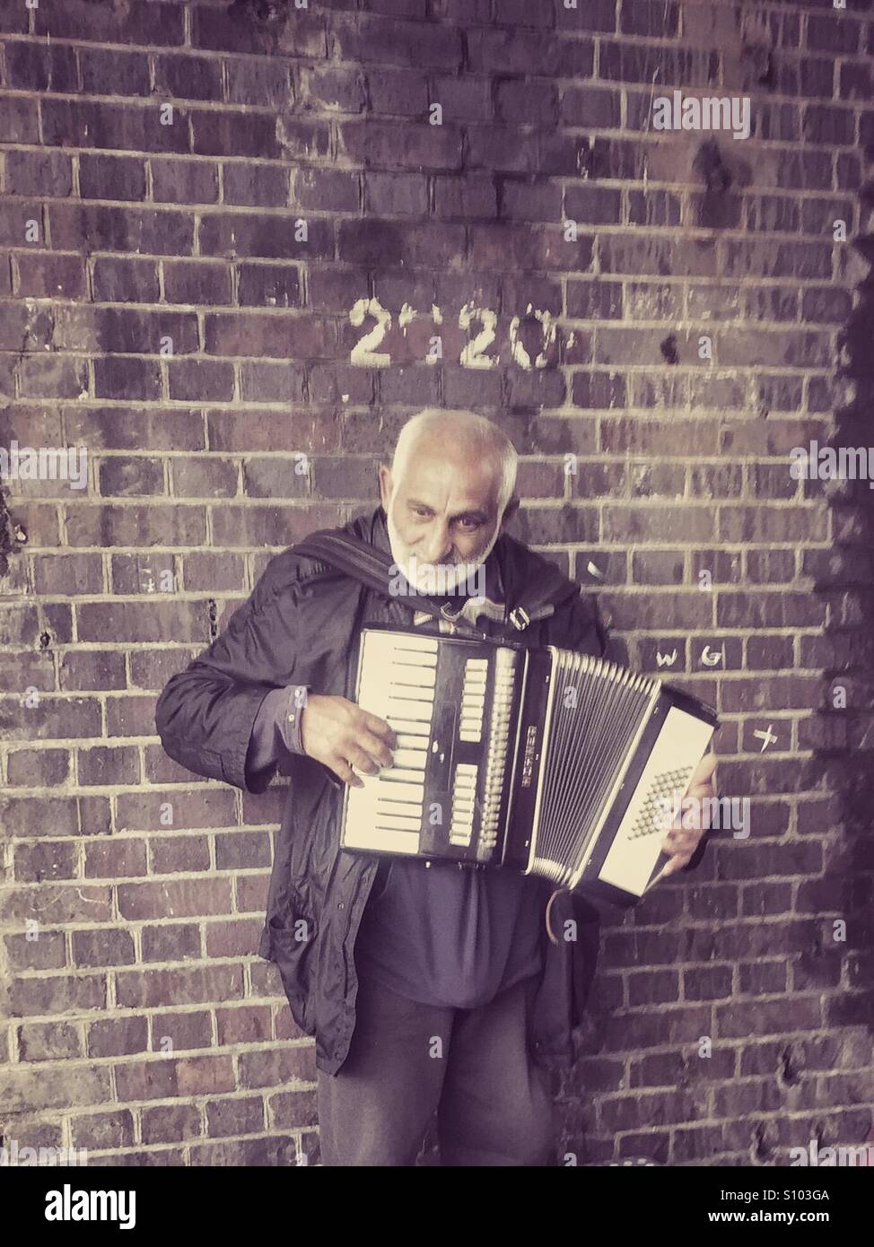 Gypsy musician on street hi-res stock photography and images - Alamy
