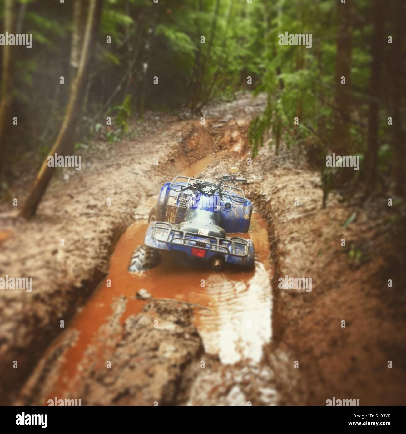Mudding Stock Photos & Mudding Stock Images - Alamy