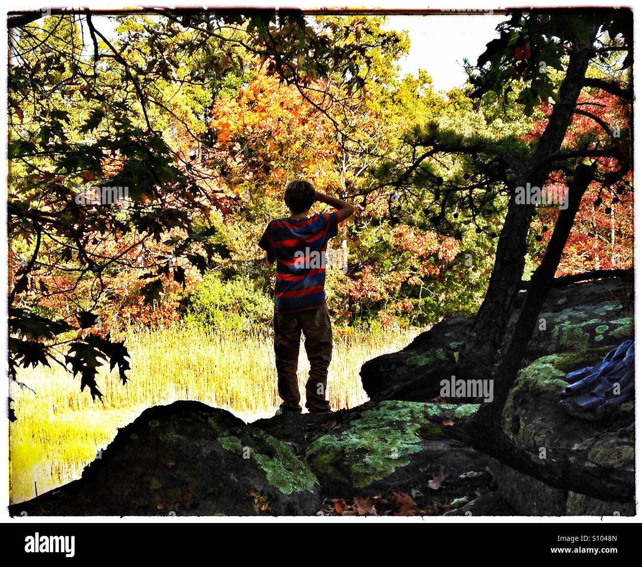 Teen boy looks out on fall landscape. Fall foliage, New England. CT ...