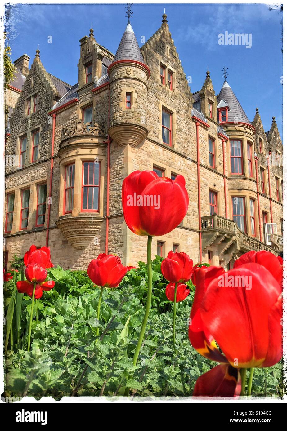Belfast castle hi-res stock photography and images - Alamy