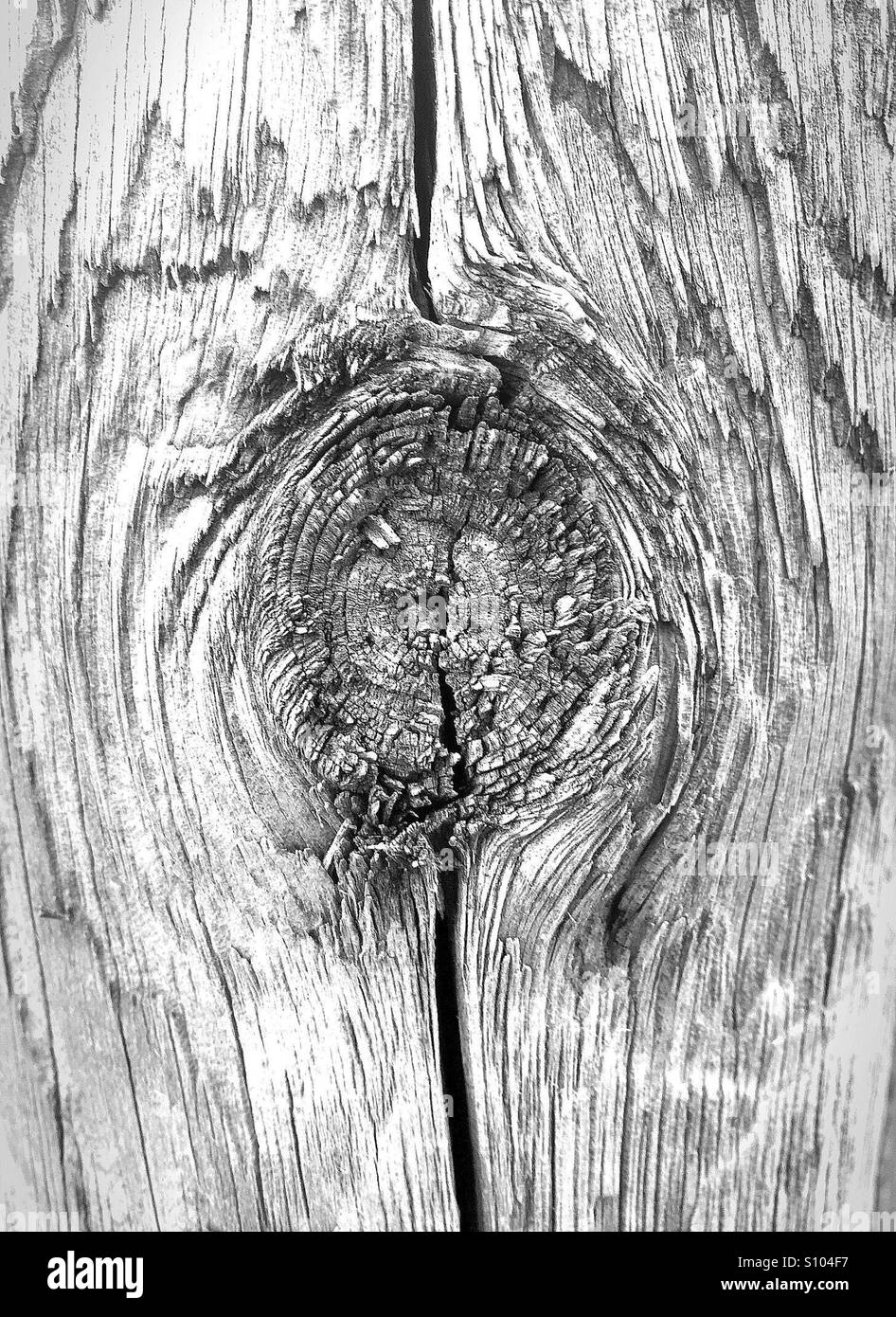 Log knot hi-res stock photography and images - Alamy