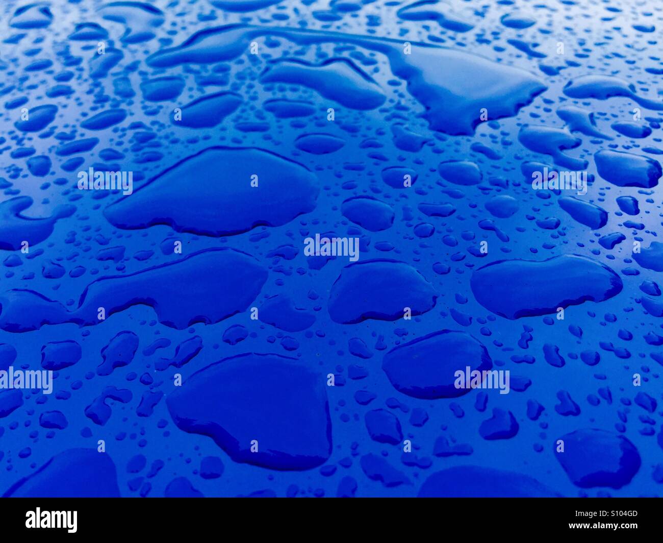 Water droplets on a car roof Stock Photo - Alamy