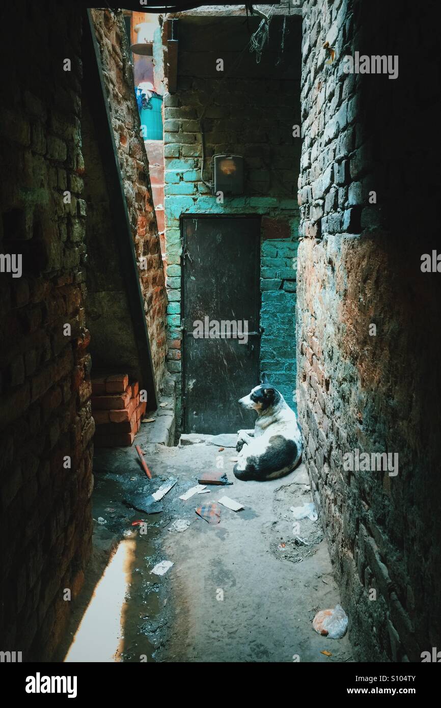 Dirty slums hi-res stock photography and images - Alamy