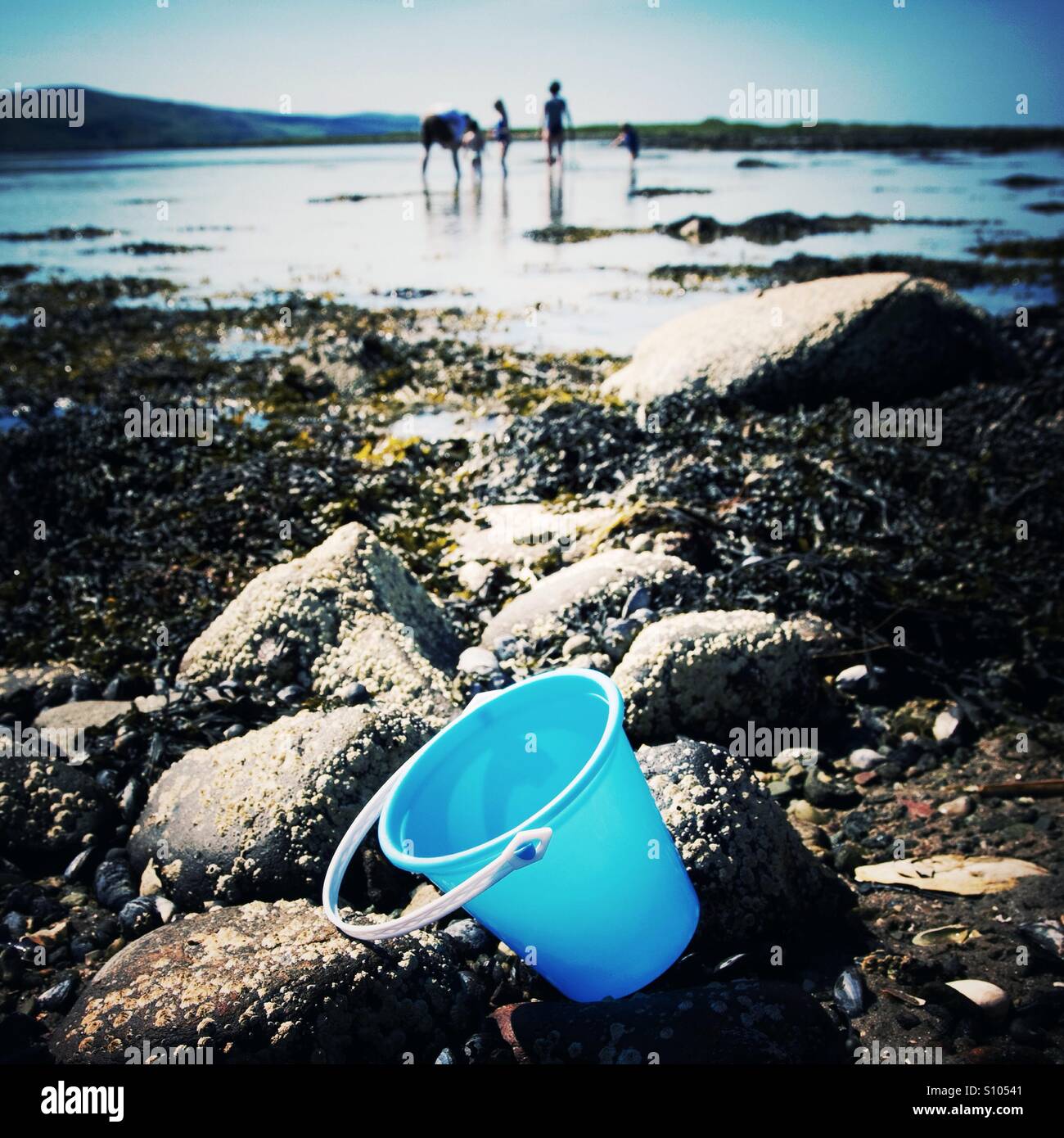 Family Rockpooling High Resolution Stock Photography and Images - Alamy