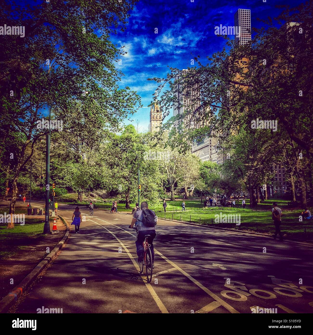 Bicyclist in the Central Park, New York City Stock Photo - Alamy