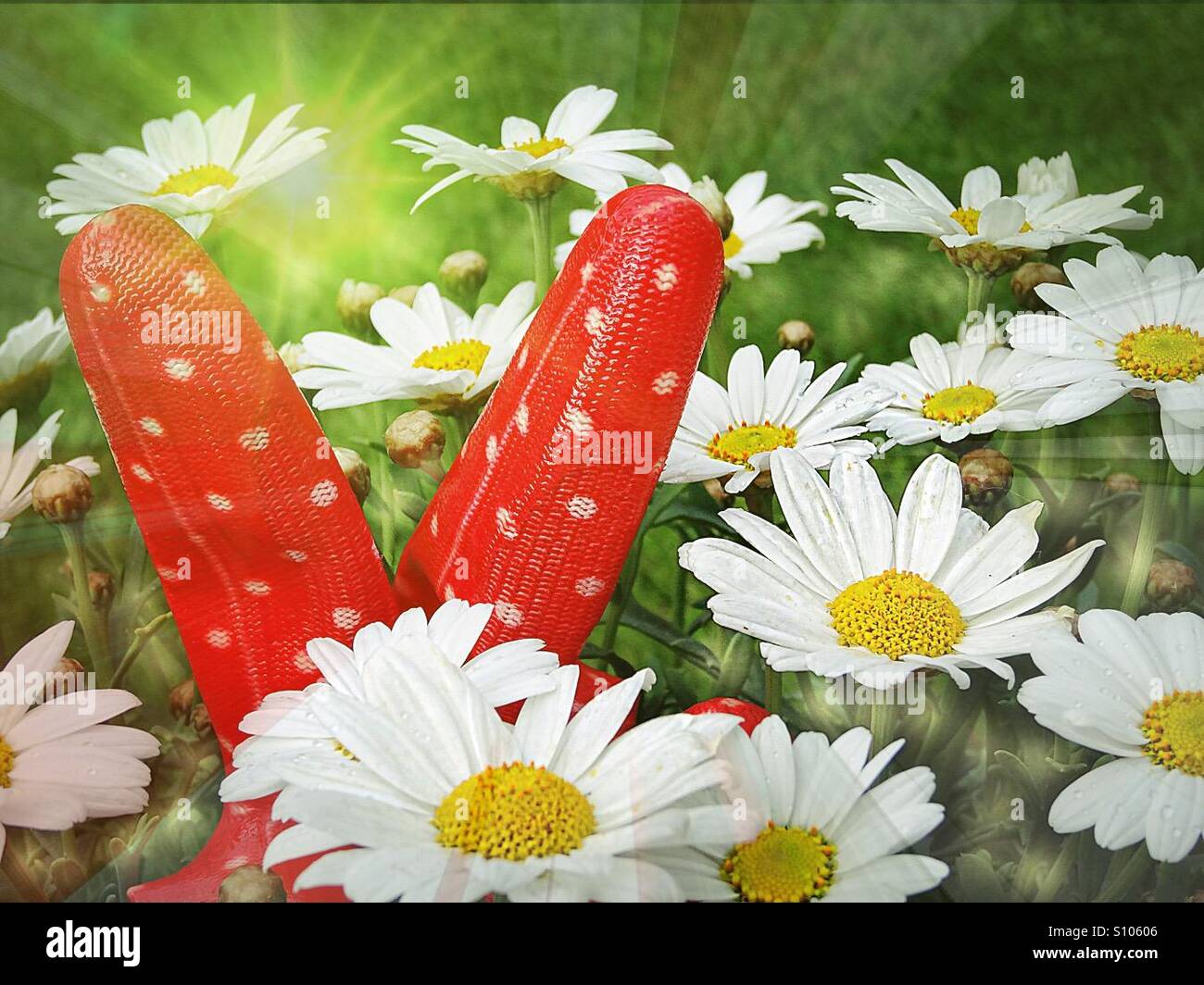 ...hello beauties... victory...! Stock Photo - Alamy