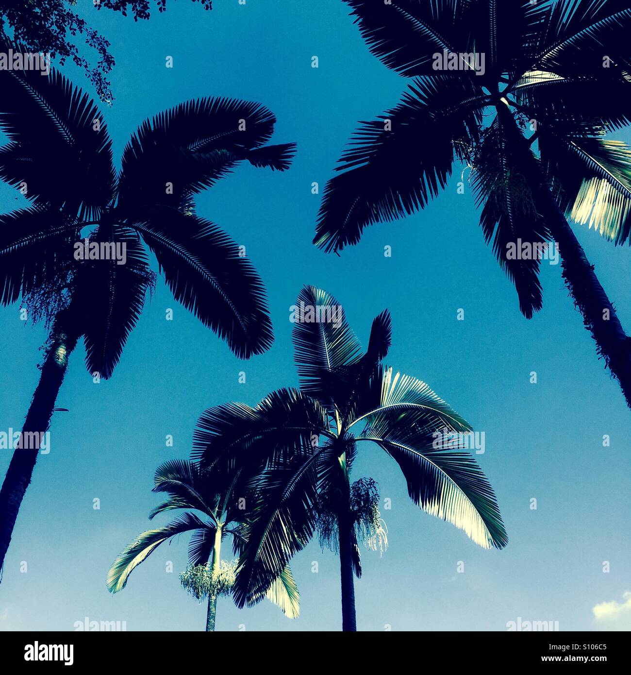 Fanning out hi-res stock photography and images - Alamy