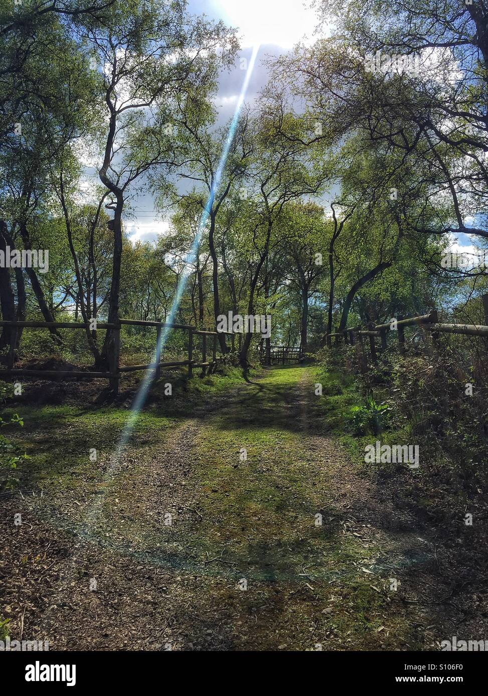 Ray path of light hi-res stock photography and images - Alamy