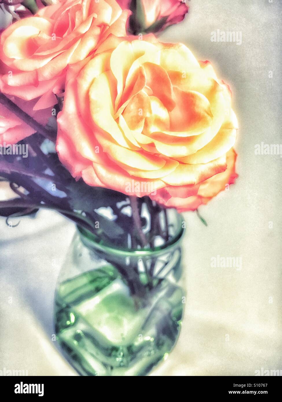 White rose in vase smartphone stock photos and images - Alamy