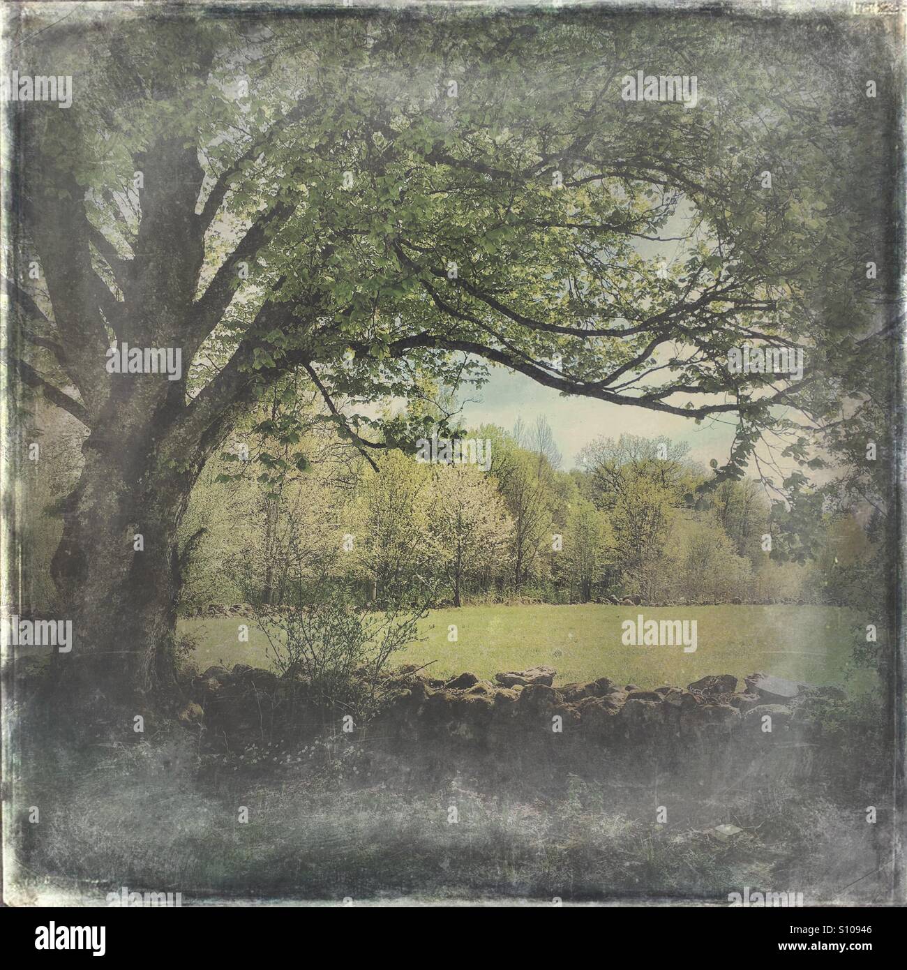 Spring landscape vintage style Stock Photo - Alamy