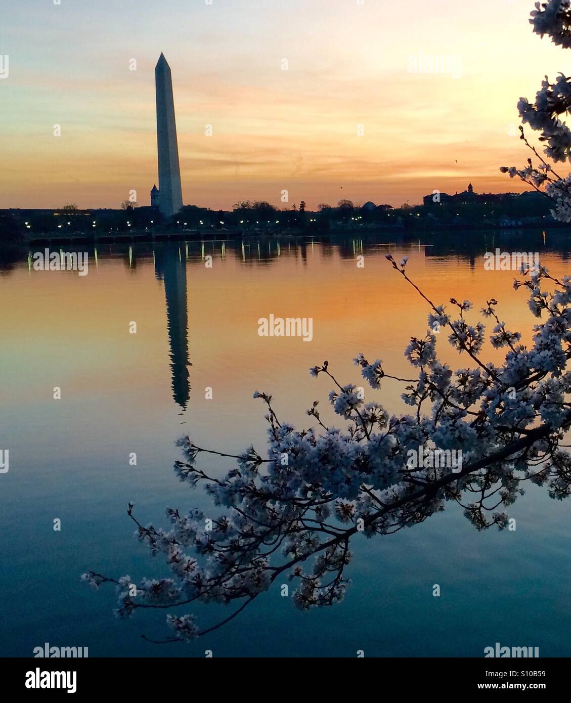 Must see tidal basin sunrise hi-res stock photography and images - Alamy