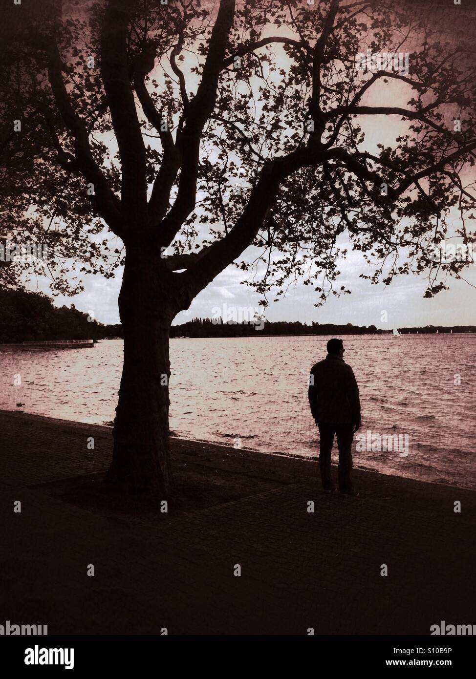 Man watching the lake Stock Photo - Alamy