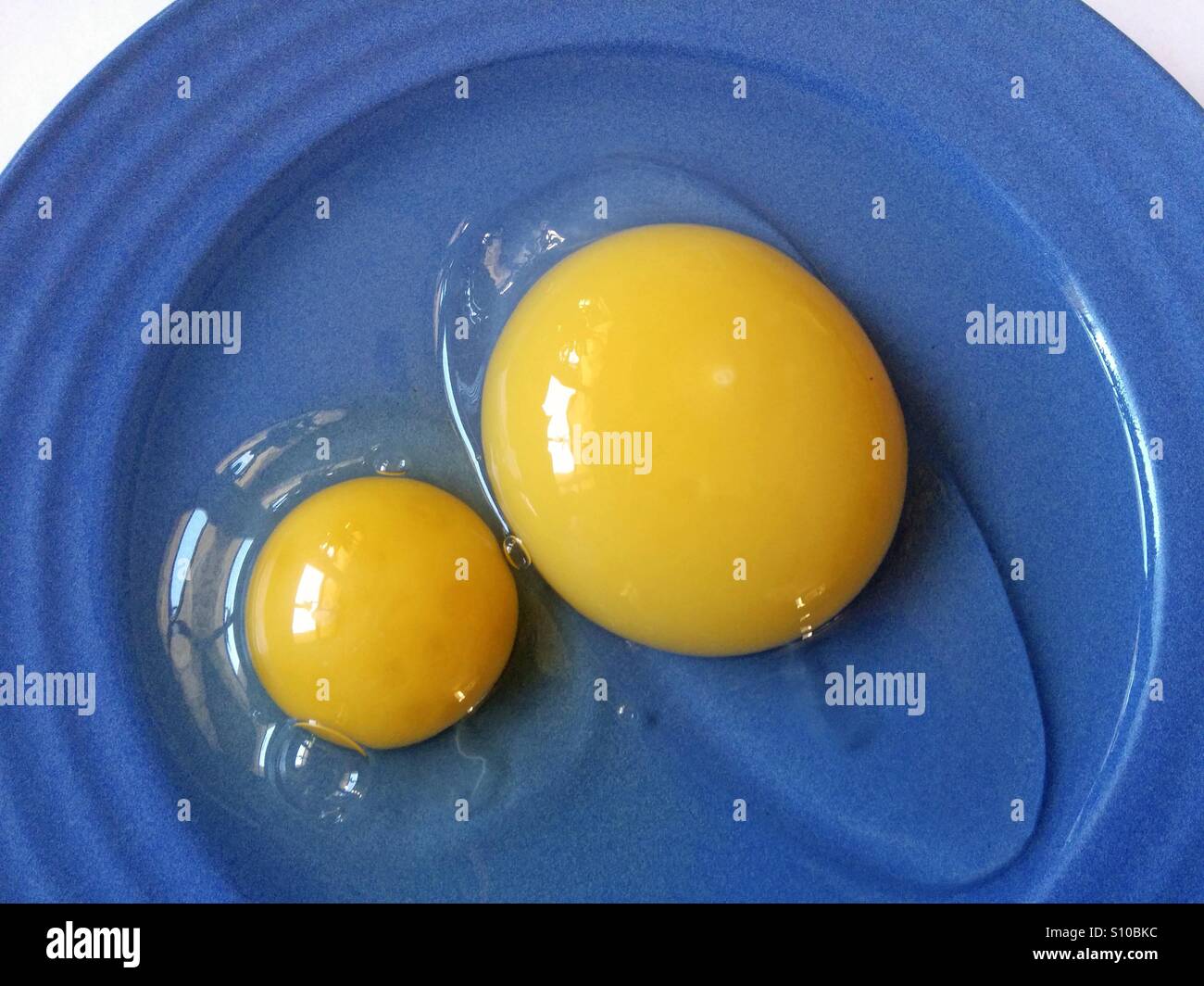 Two eggs. Goose and hen Stock Photo - Alamy