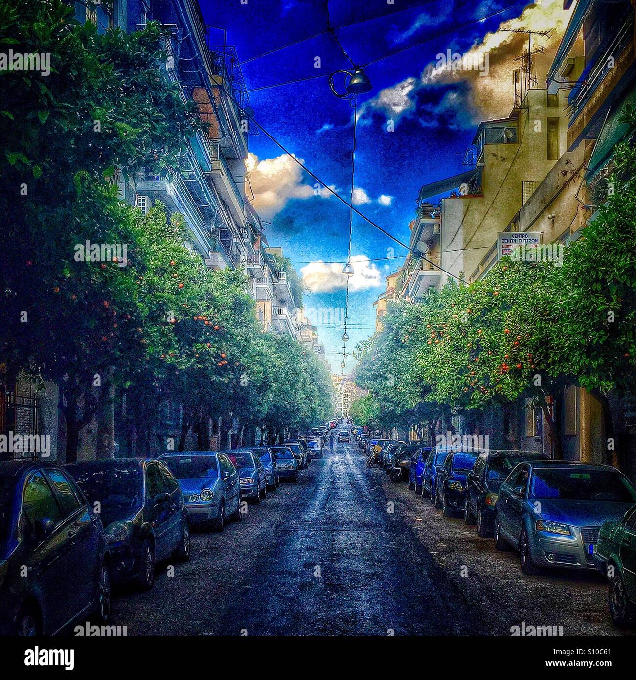 Fruit tree alley hi-res stock photography and images - Alamy