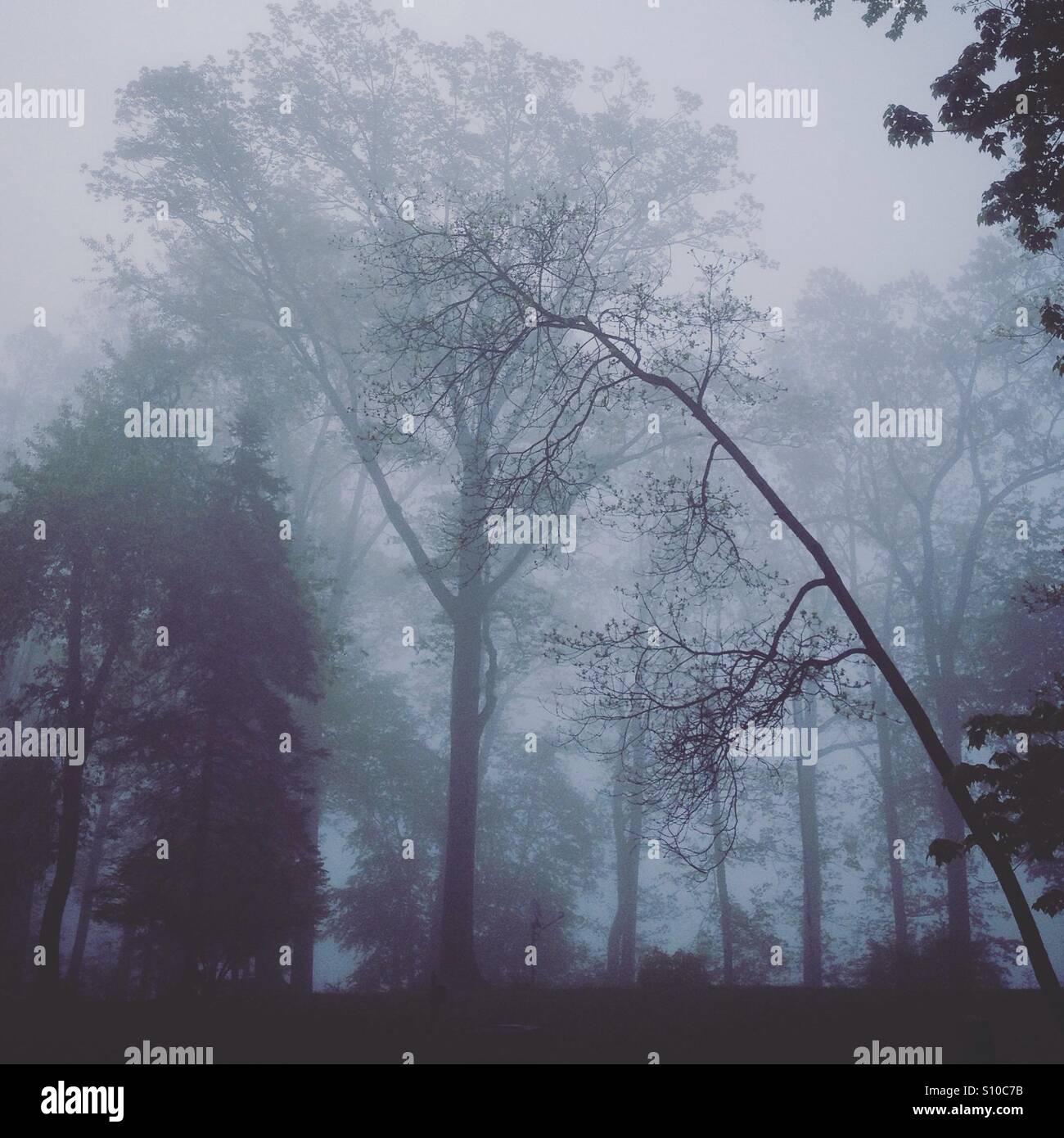 Dark dreary hi-res stock photography and images - Alamy