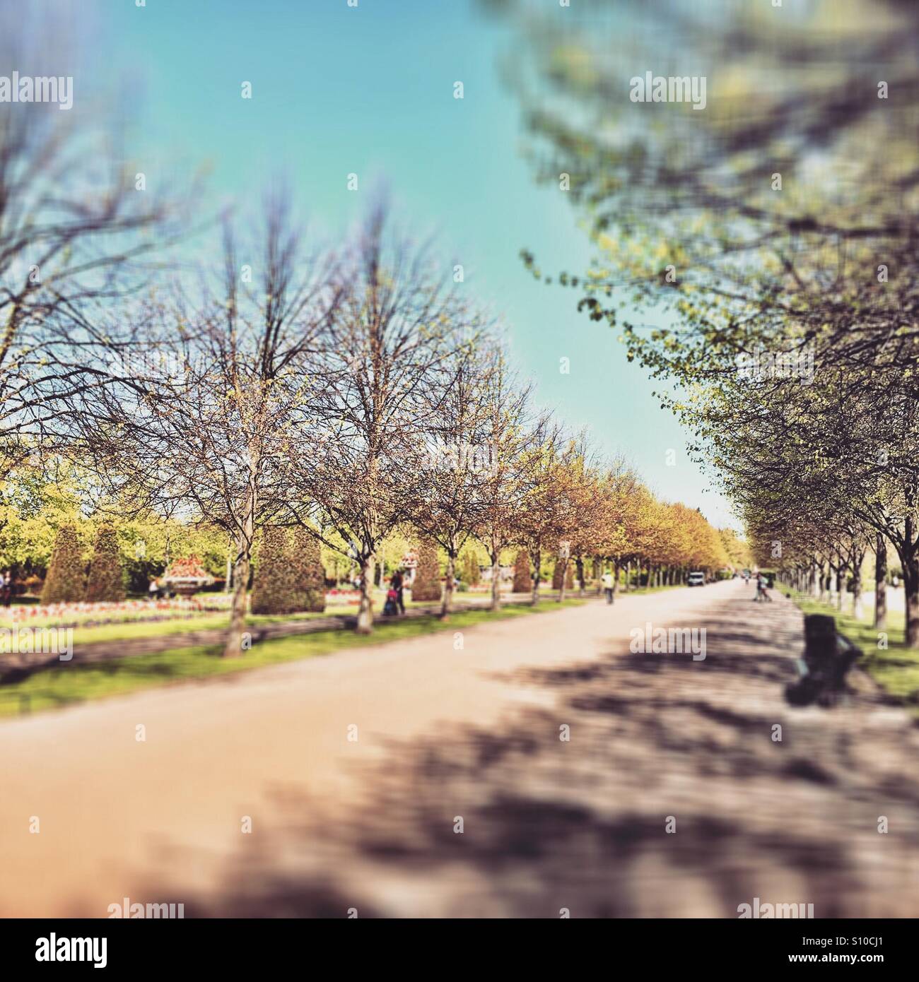 Autumn sunshine london hi-res stock photography and images - Alamy
