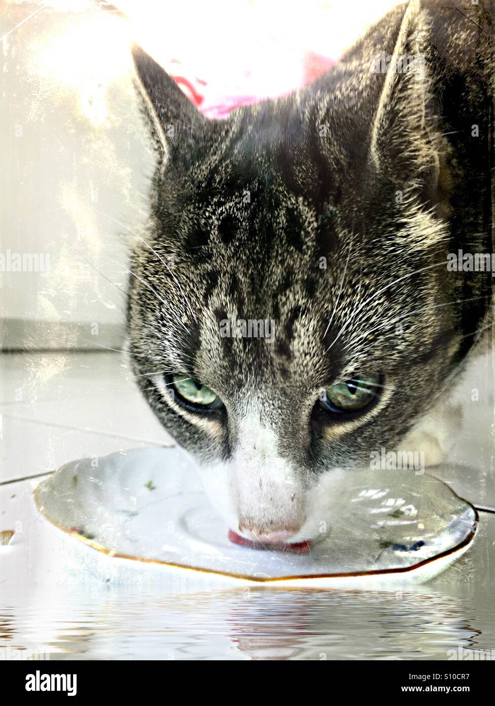 ...very fine... drinking and eating Stock Photo - Alamy