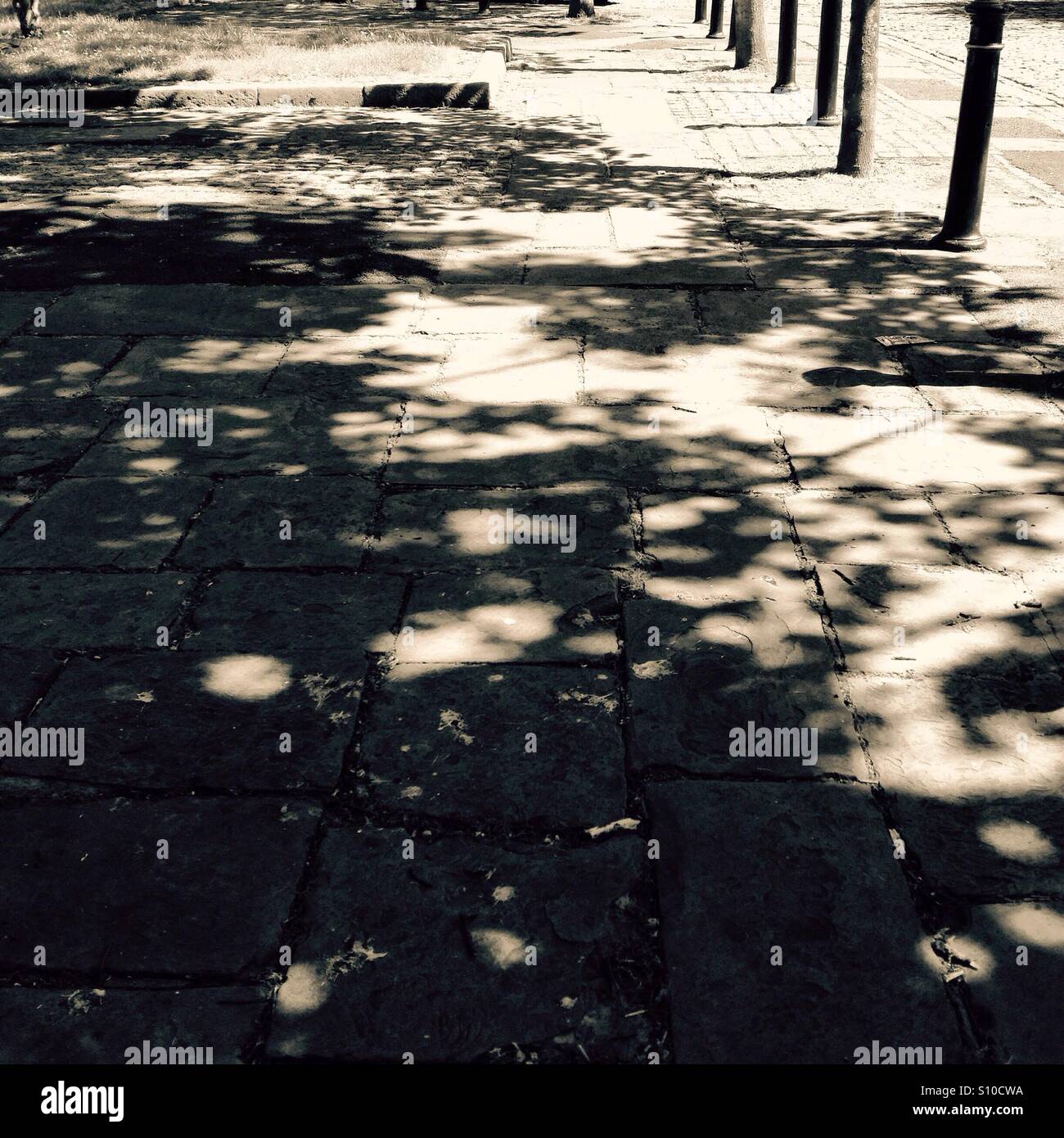 Dappled light through trees hi-res stock photography and images - Alamy