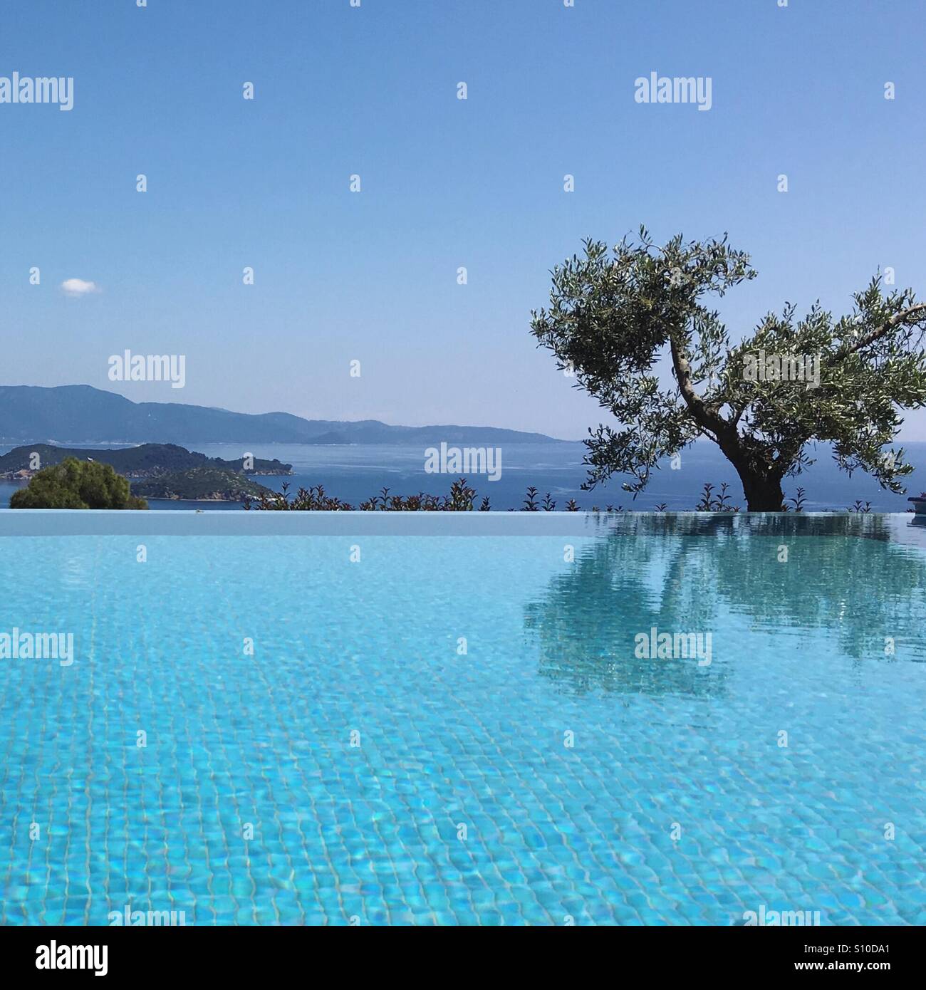 Olive trees greece hi-res stock photography and images - Alamy